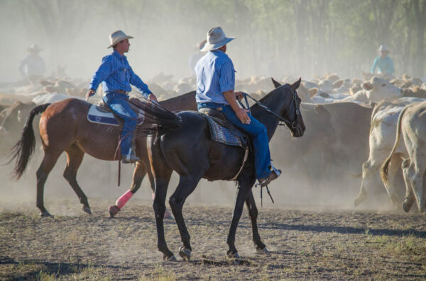 Injune – Great Inland Way